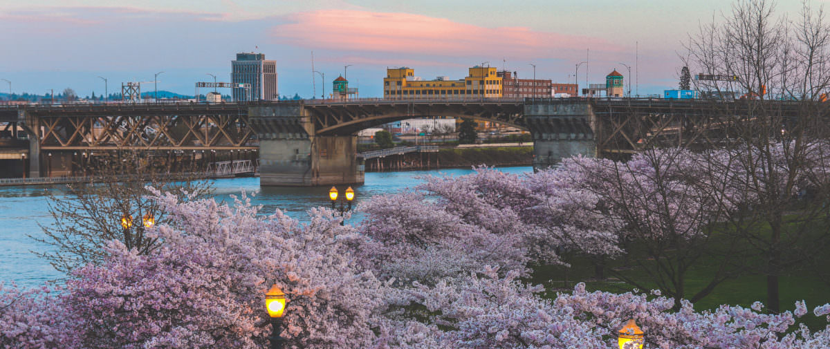 Home - TenBridge Partners